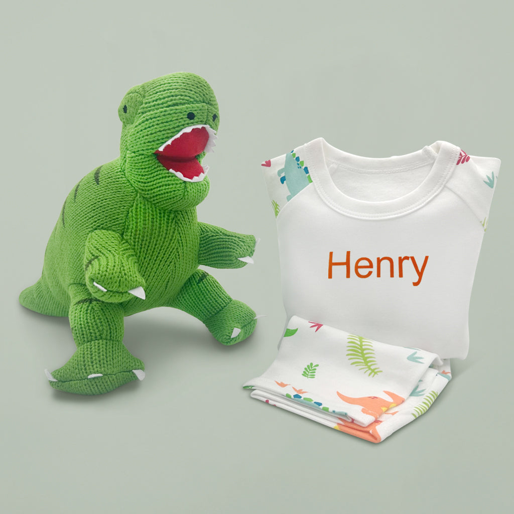 Personalised Pyjamas And T Rex Soft Toy | Baby Gifts | Babyblooms