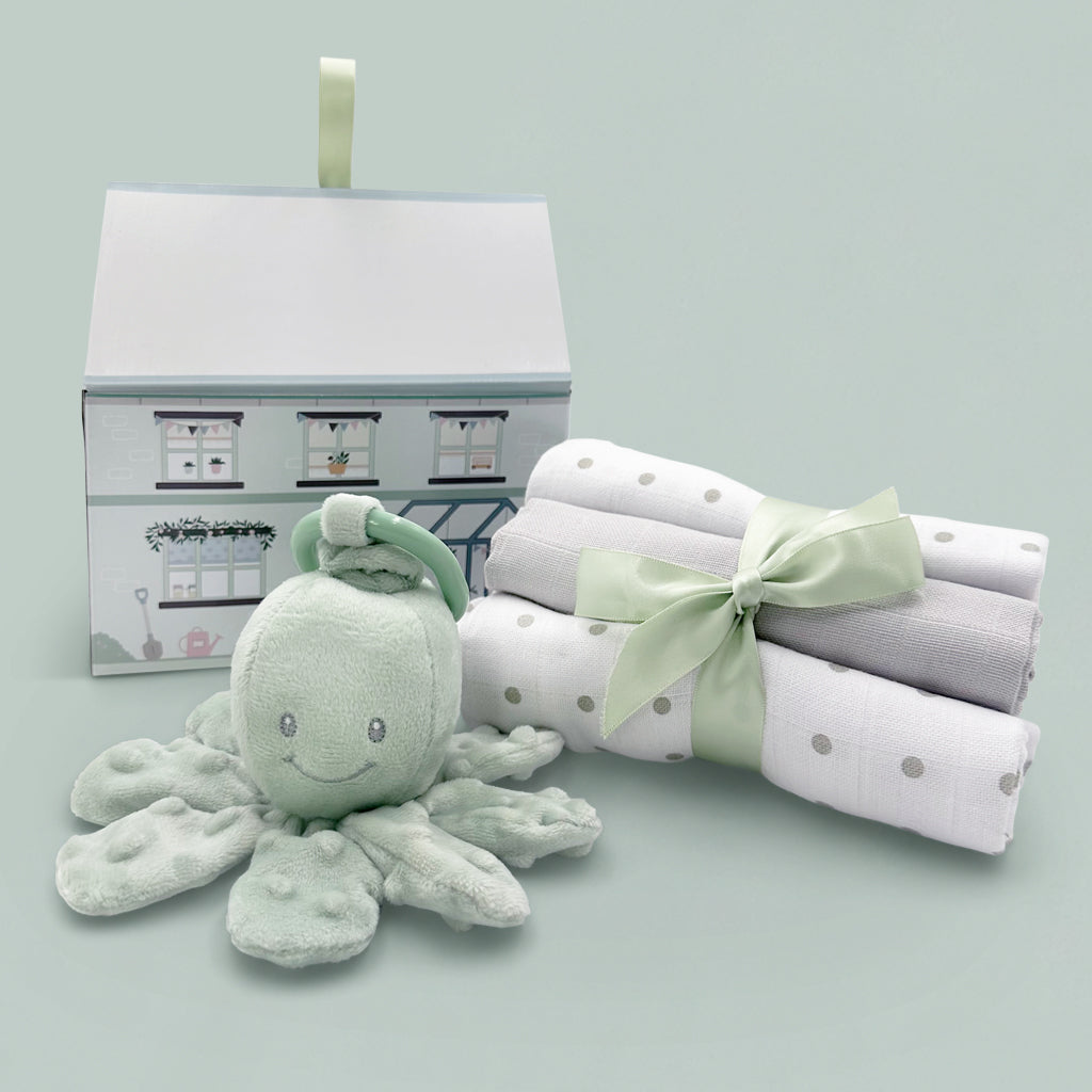 Baby Octopus Products | Sea Port