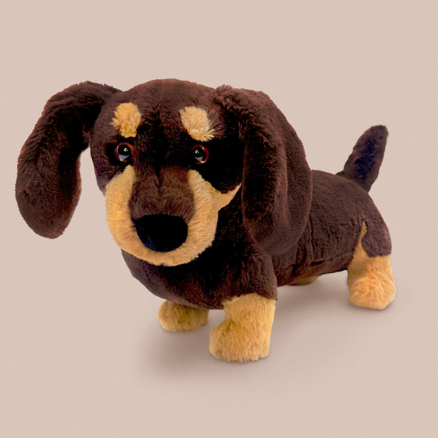 Jellycat Otto Sausage Dog | Soft Toys | Babyblooms