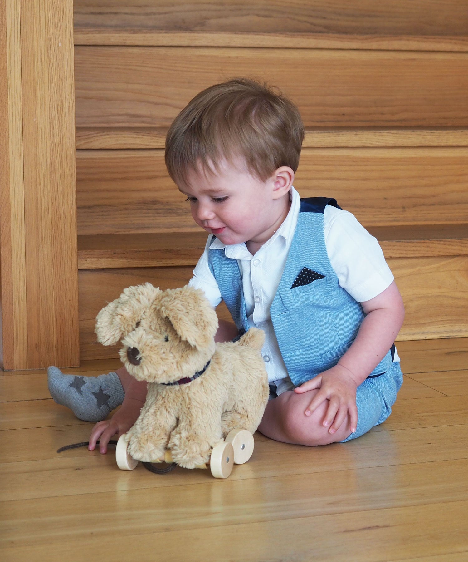 Dexter Dog Pull Along Toy | Babyblooms | 2-In-1 Toy | Soft Toys