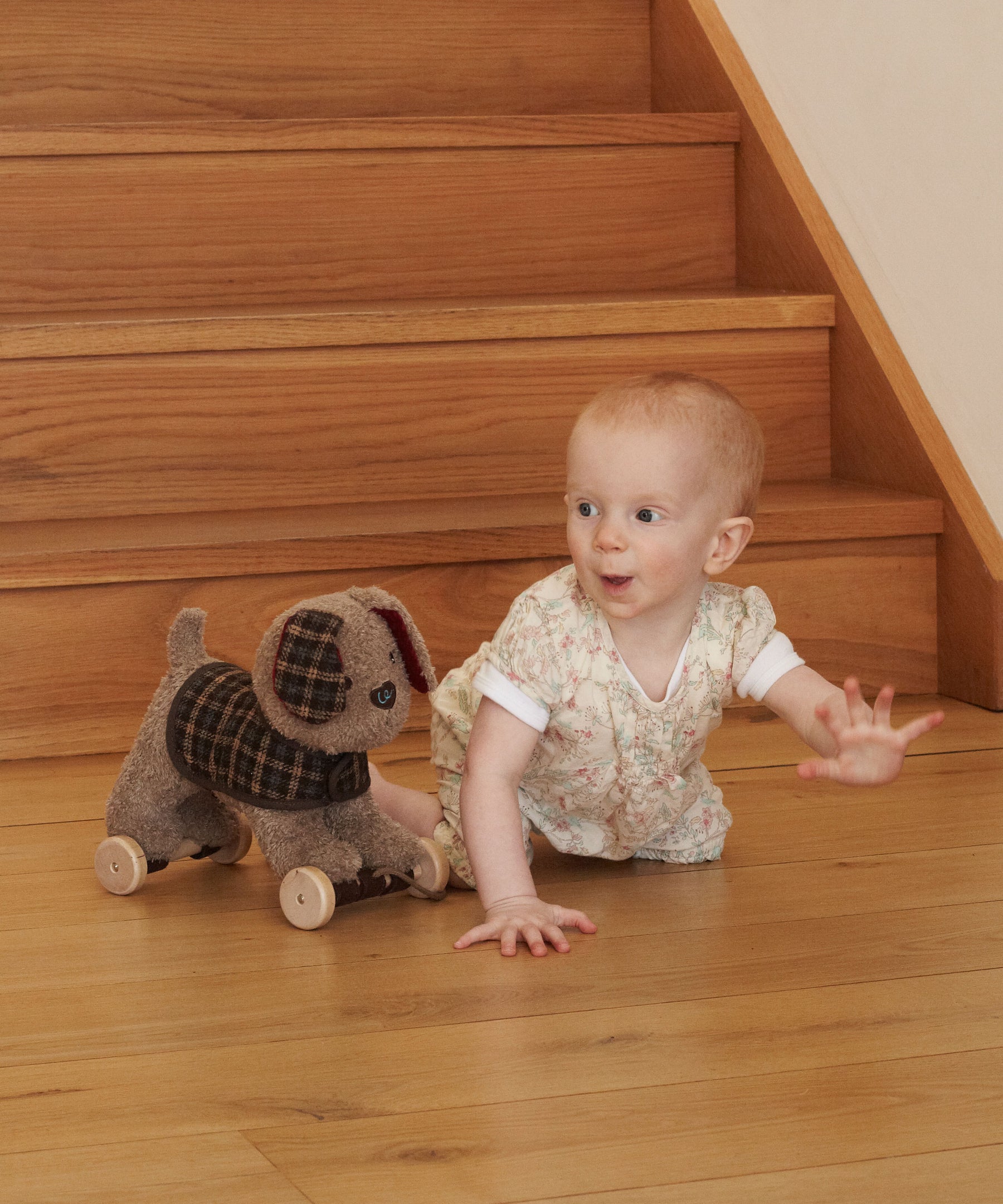 Percy Pup Pull Along Toy | Babyblooms | 2-In-1 Toy | Soft Toys